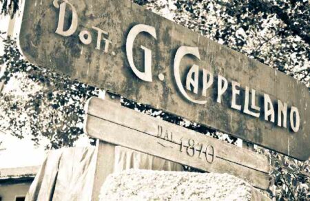 Barolo chinato, la storia e le migliori etichette - Vinamundi