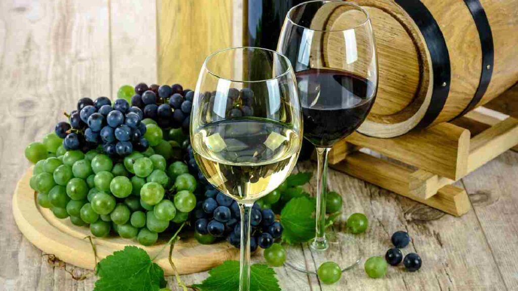 Vini DOP toscani: ecco i migliori da servire in tavola - Vinamundi