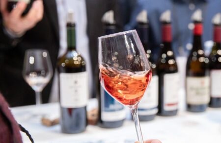 Il vitigno Nebbiolo, la storia e le caratteristiche - Vinamundi